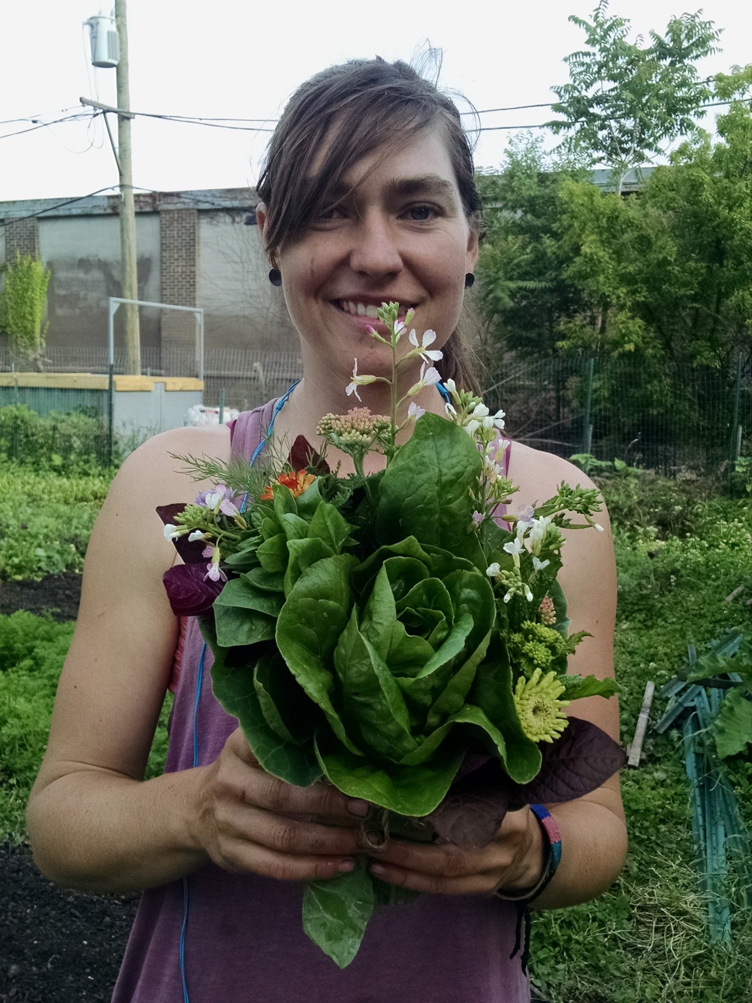 Chicago Patchwork Farms – Growing delicious vegetables with friends in ...