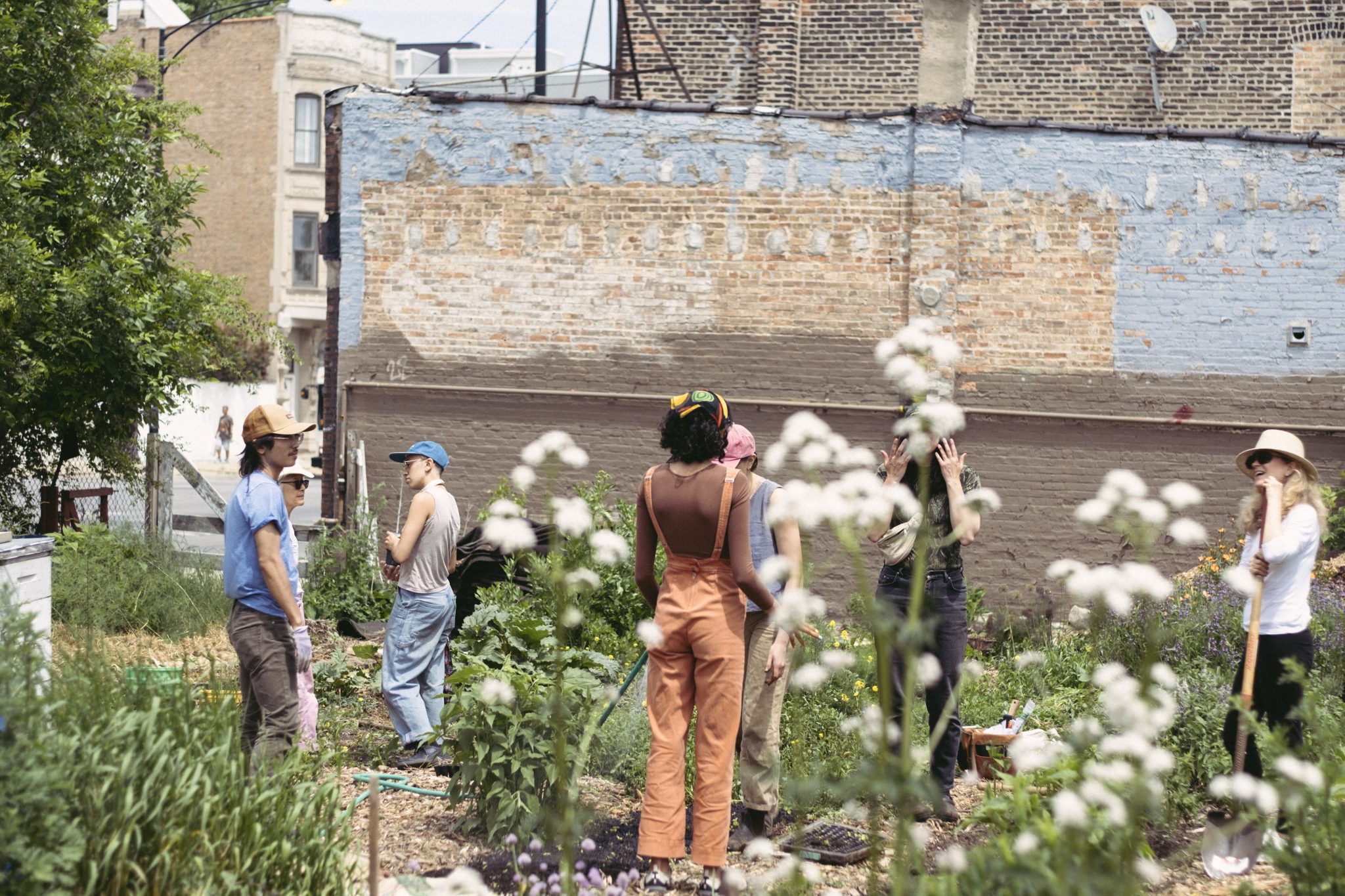 Chicago Patchwork Farms – Growing delicious vegetables with friends in ...