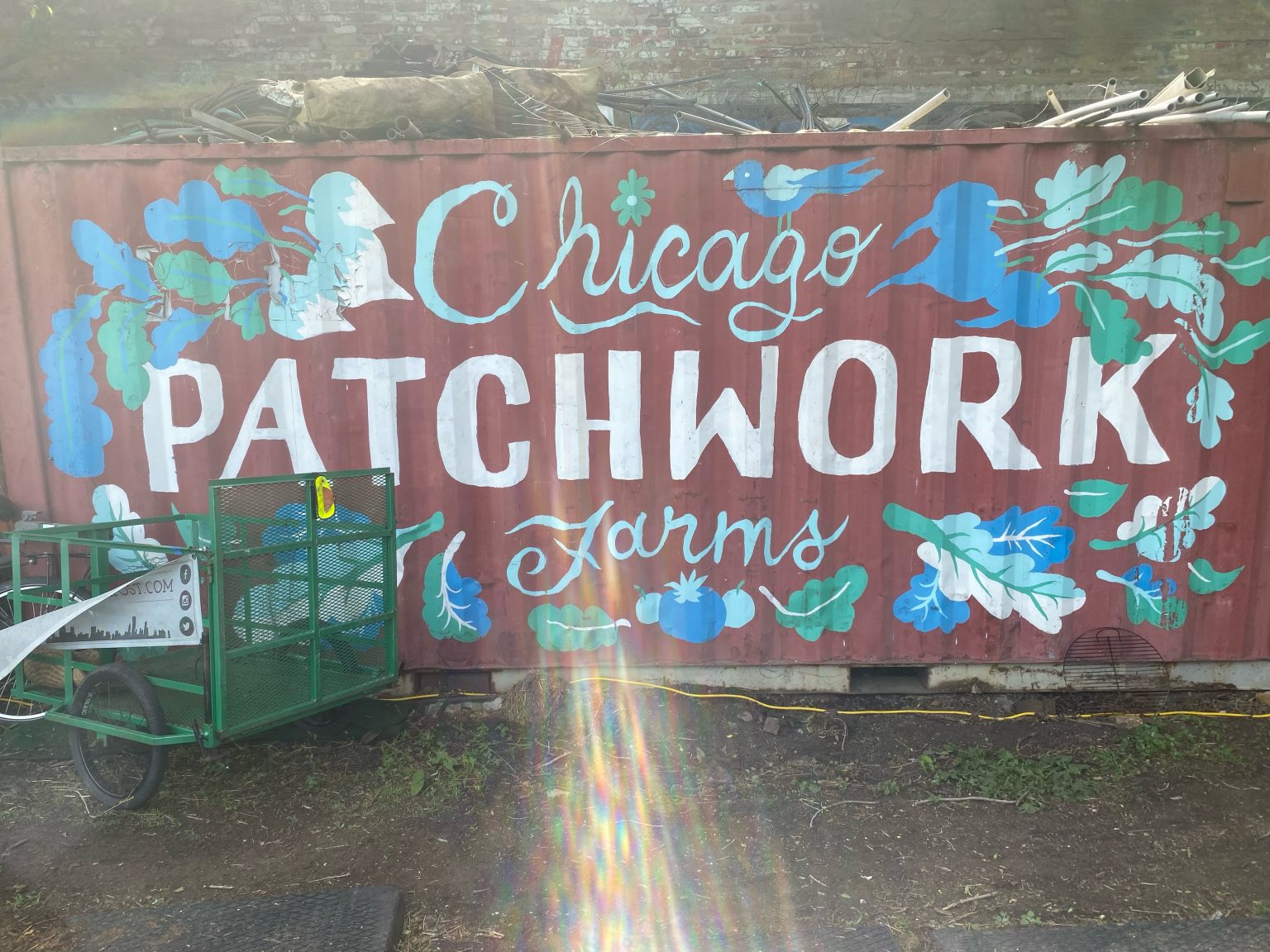 Chicago Patchwork Farms – Growing delicious vegetables with friends in ...