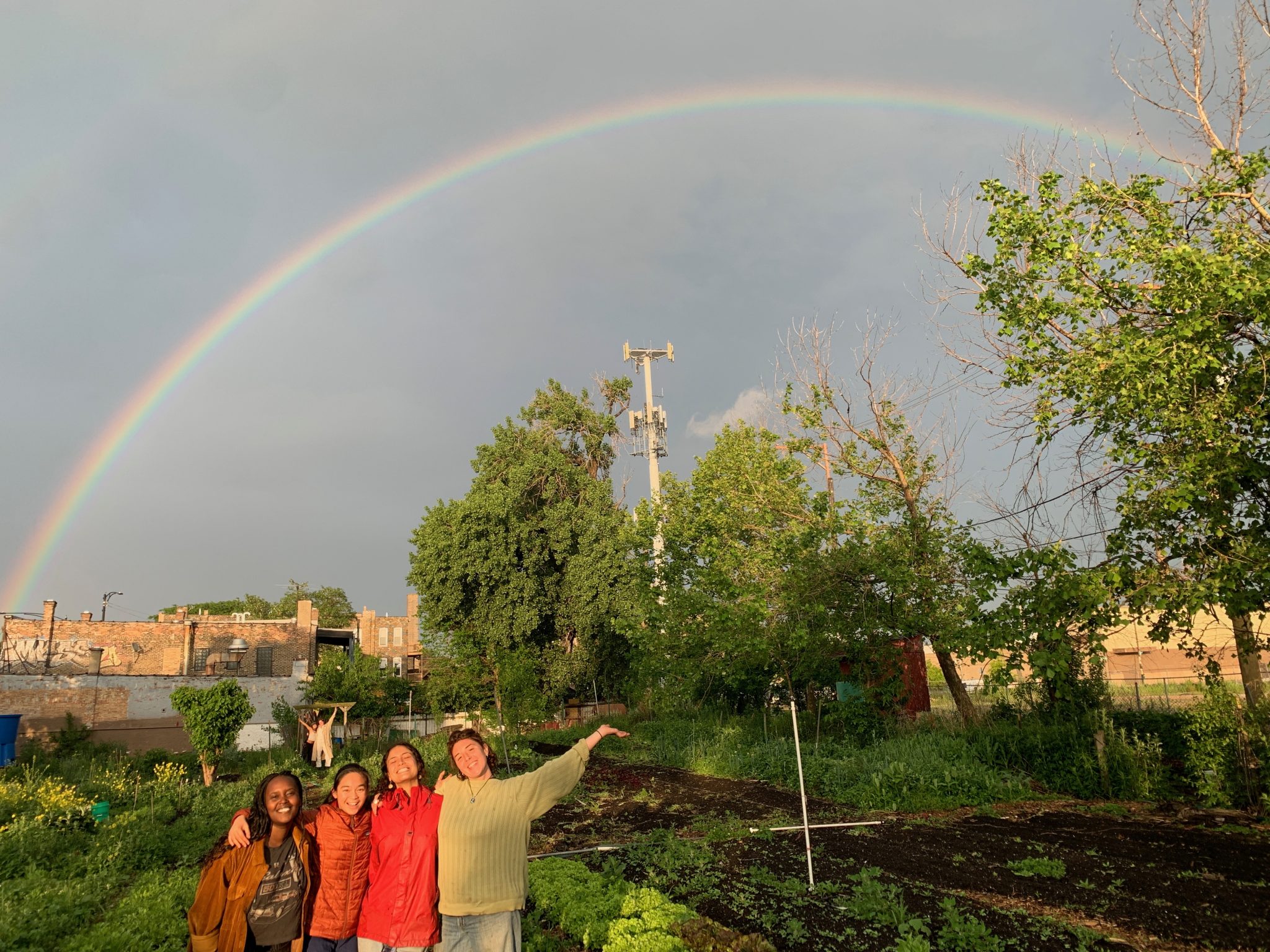 Chicago Patchwork Farms – Growing delicious vegetables with friends in ...